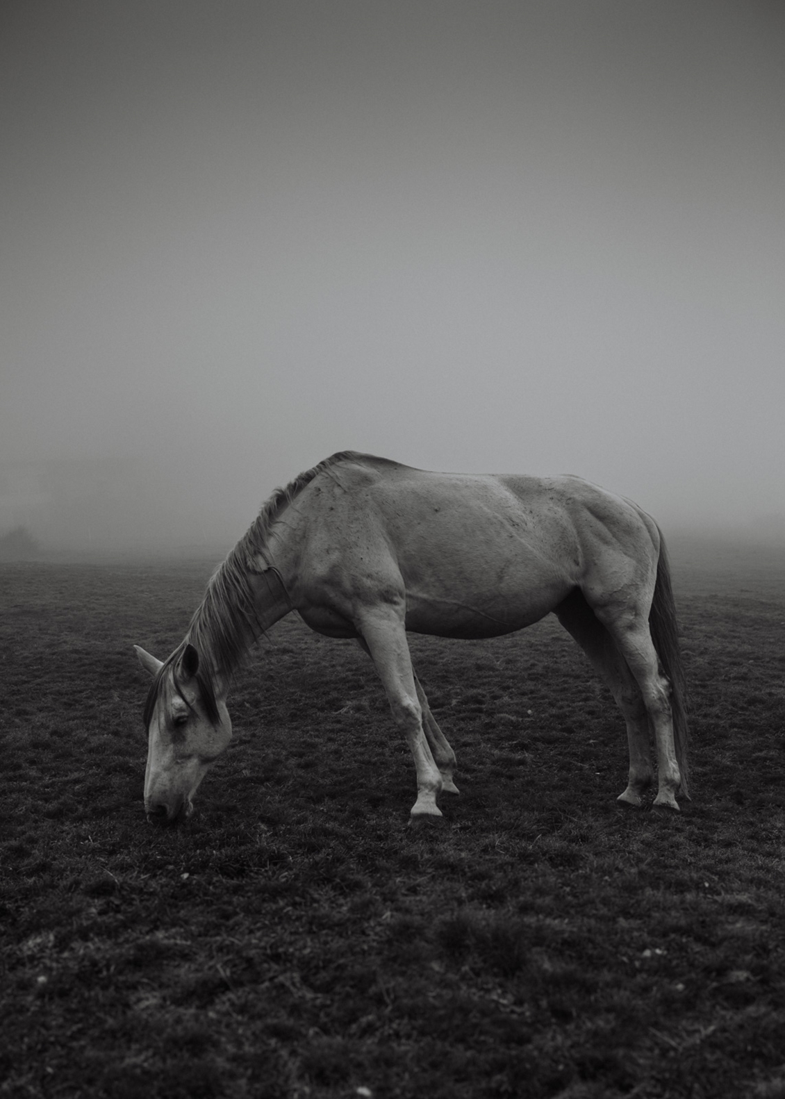 yves bachmann photography | Yves Bachmann Photography