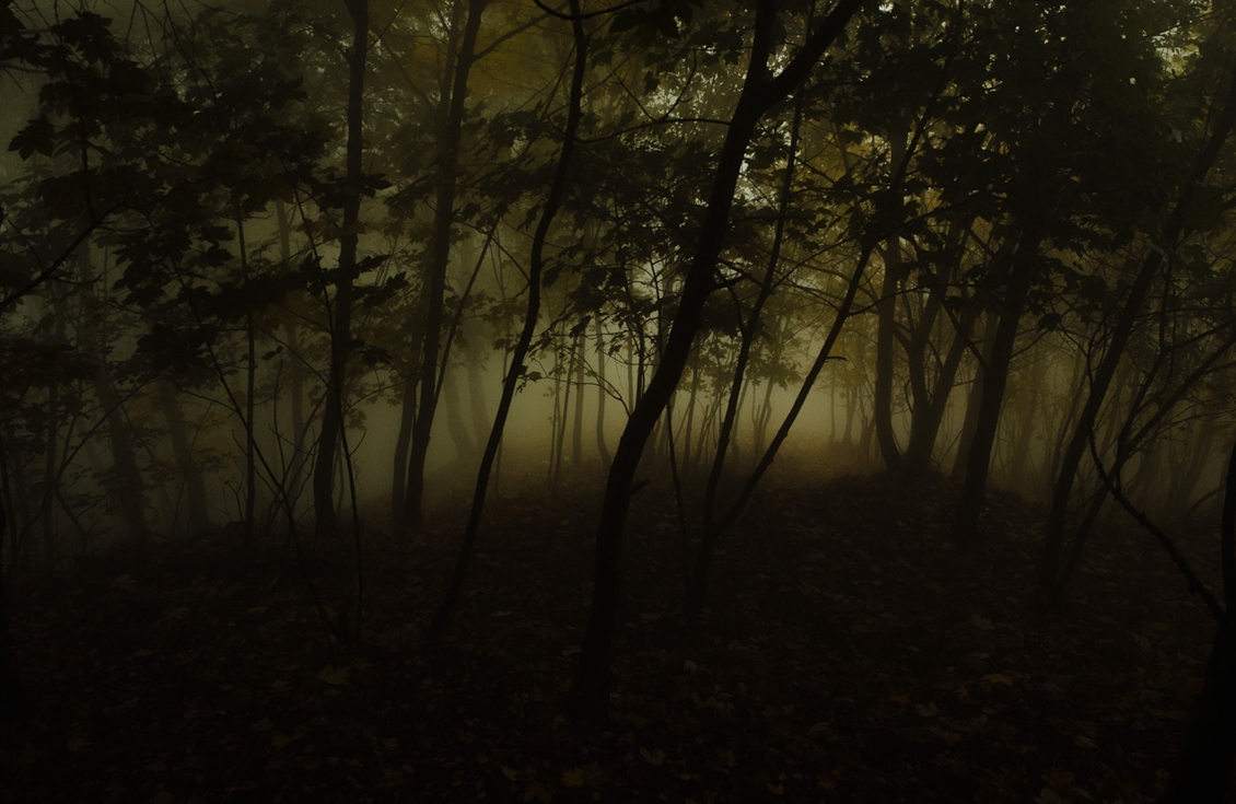yves bachmann photography | Yves Bachmann Photography